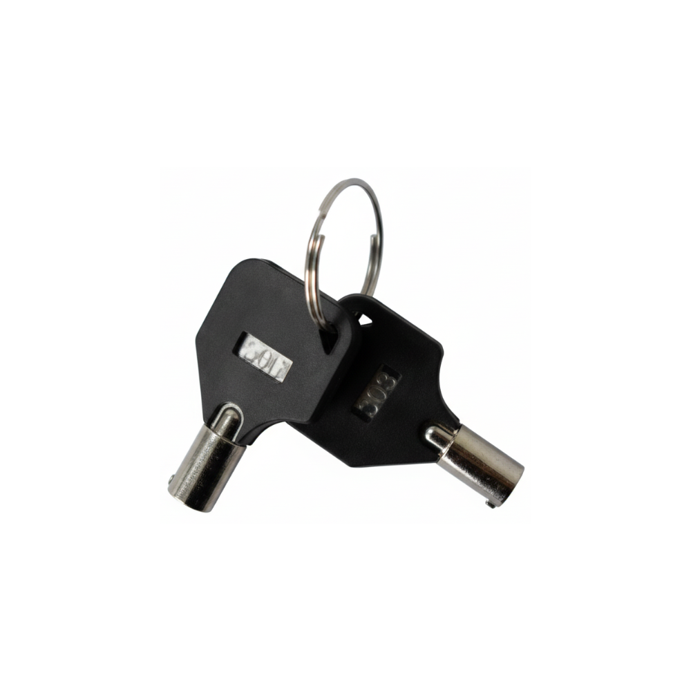 AES TL-KEY Tomalok Set of Keys (2) | All Security Equipment