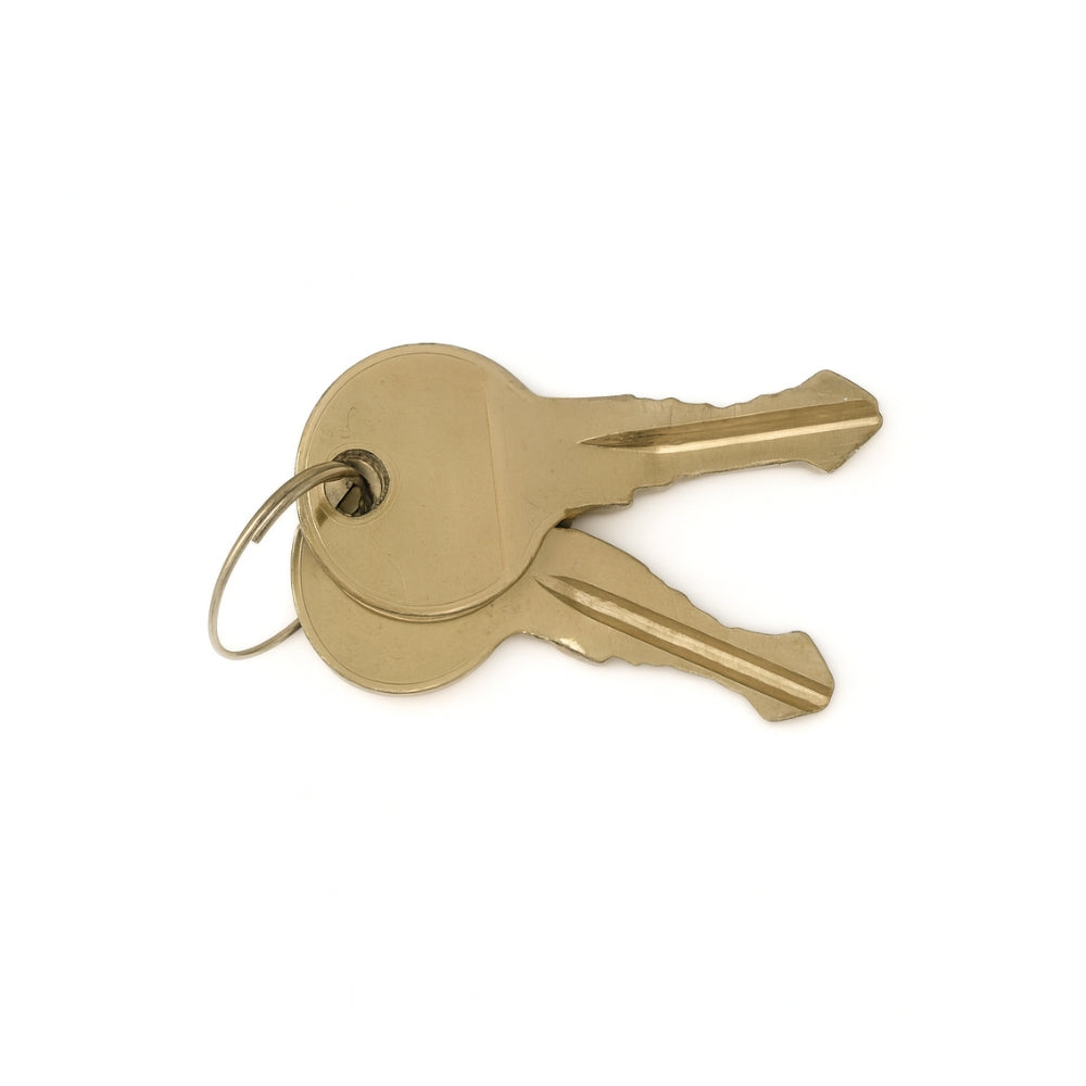 Magnetic Autocontrol #18 Key Set of 2 GTS02 | All Security Equipment